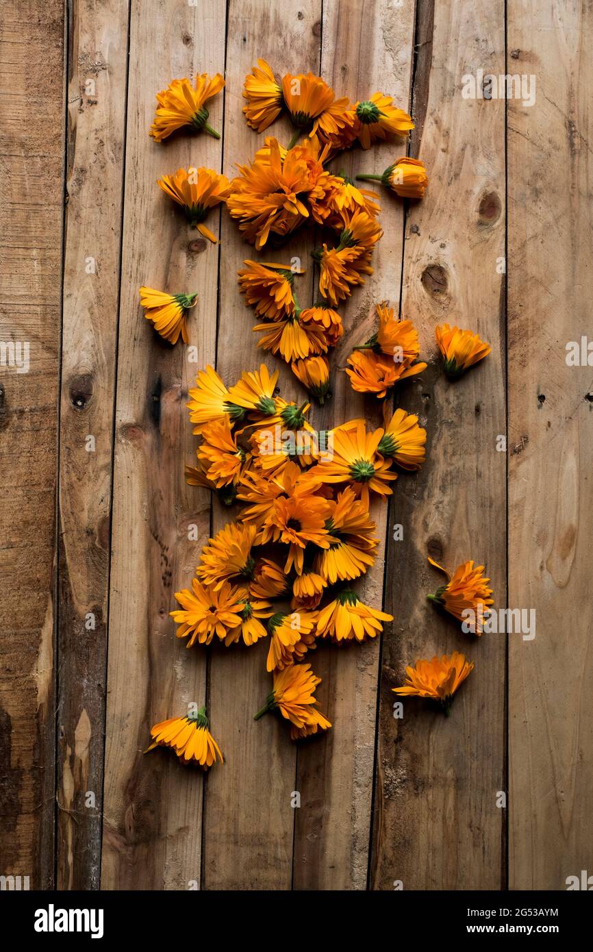 High angle close up on edible orange Calendulas on wooden background ...