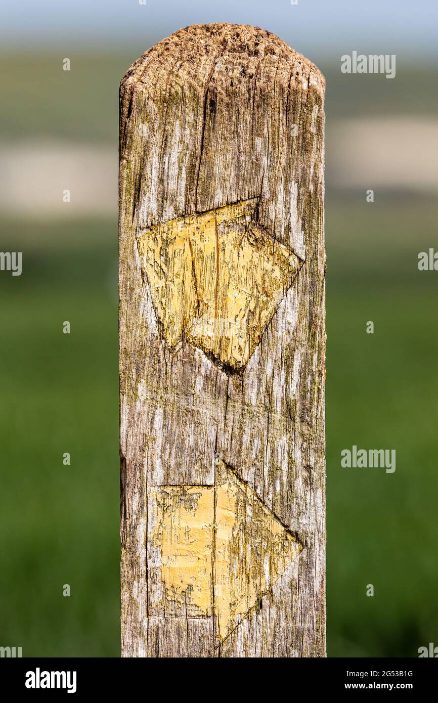 Directional arrows on a wooden sign post, in the South Downs in Sussex ...