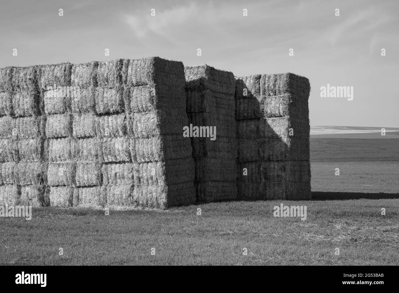 Large stack of hay bales, black and white Stock Photo - Alamy