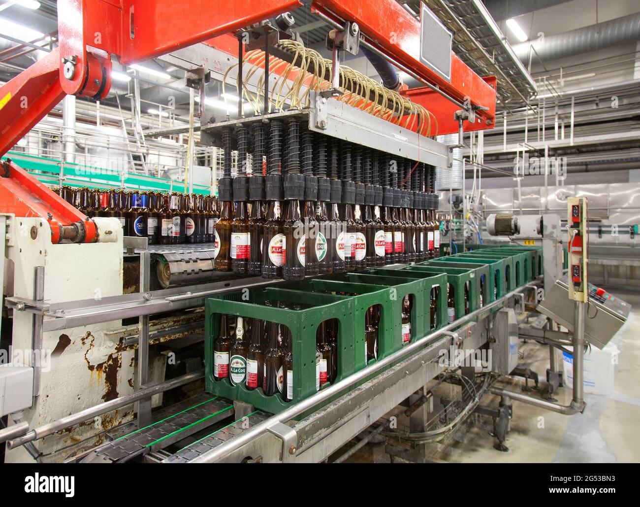 Beer bottling plant with moving belts, rows of bottles, automated ...