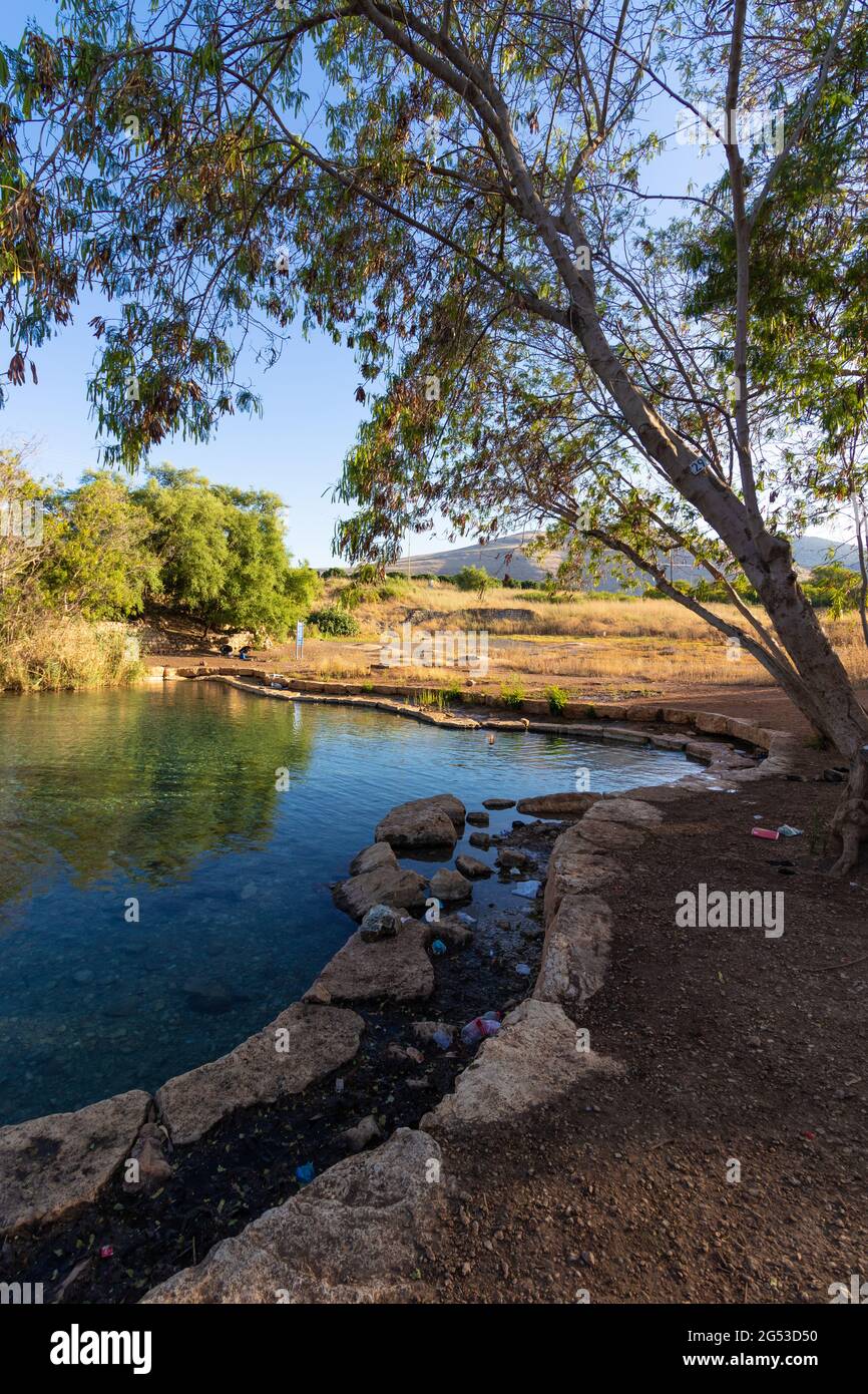 A clear and large freshwater pool in Ein Shokek, the Valley of the ...
