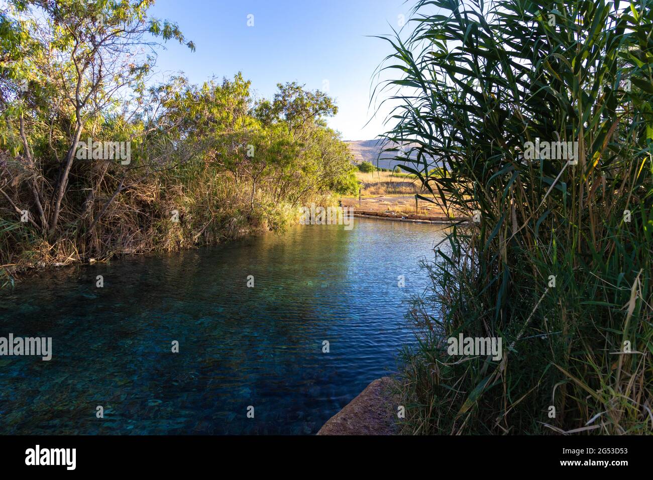 A large, clear freshwater pool surrounded by vegetation and reeds in ...