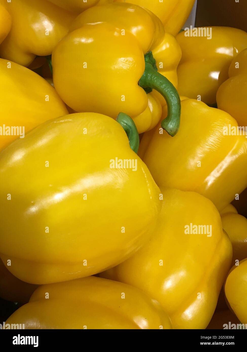 Lots of yellow sweet big peppers Stock Photo - Alamy