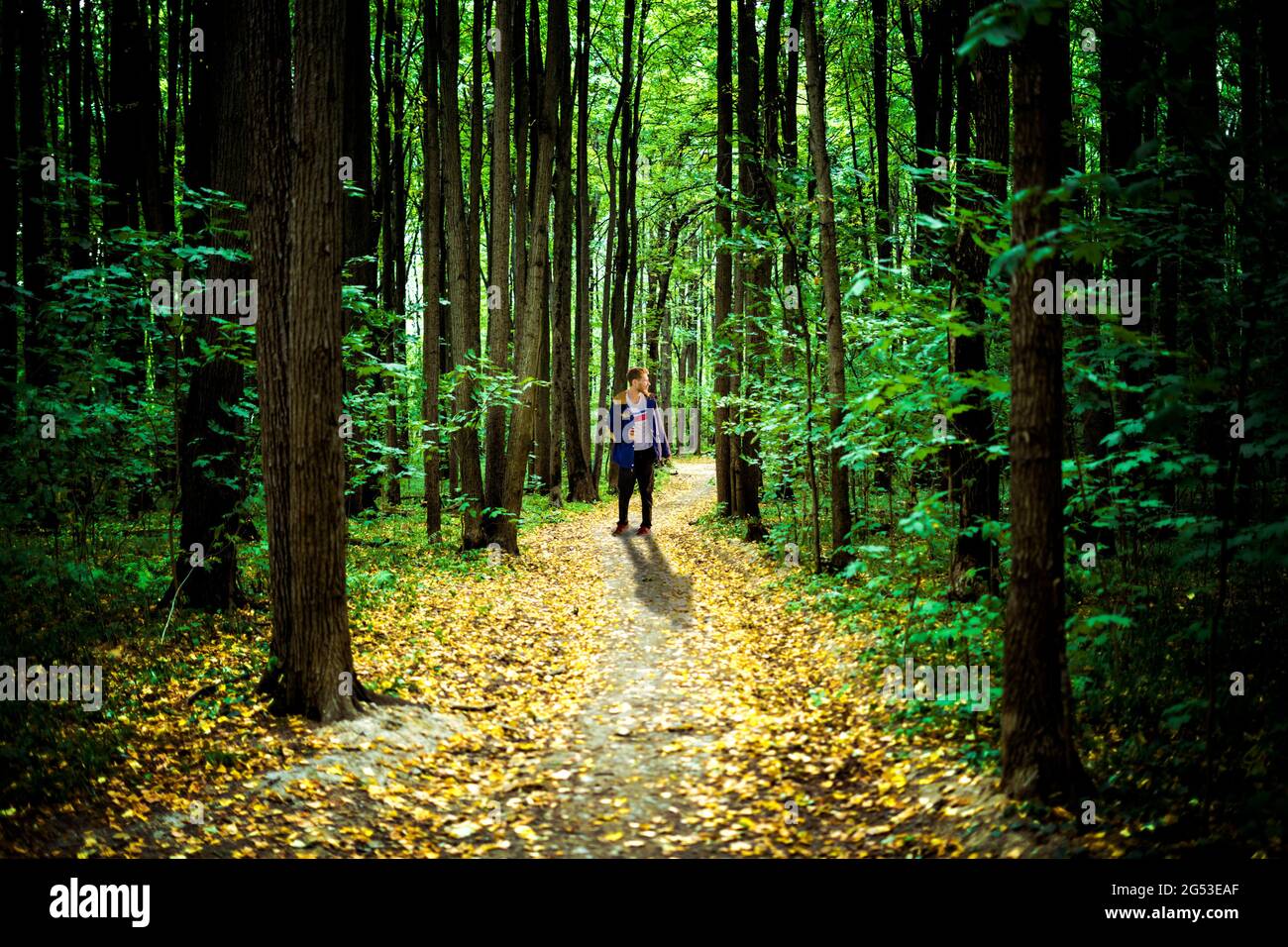 view from the back of a male person walking, wide nature landscape ...