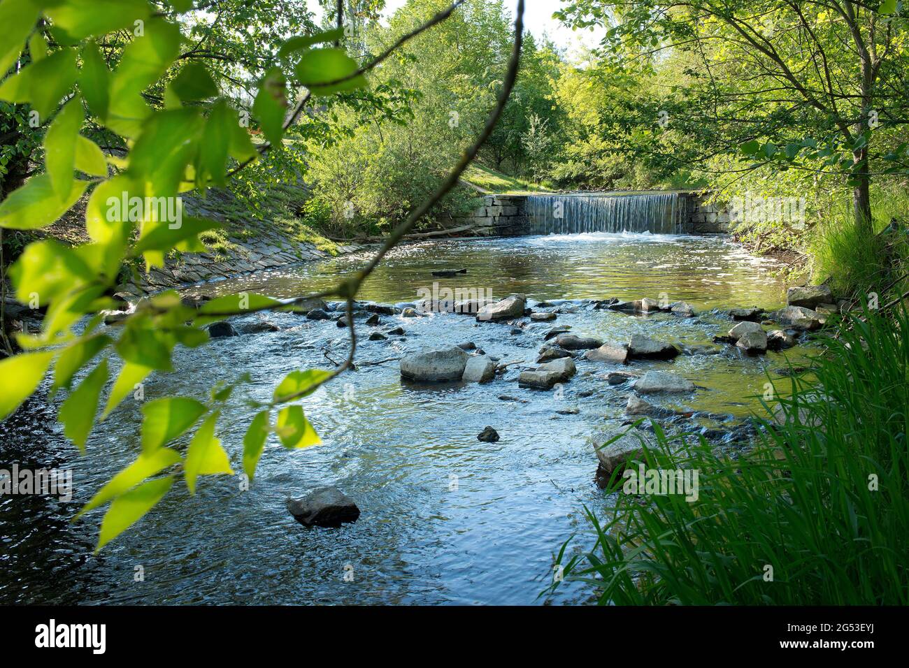 Vortex on the stream in the summer Stock Photo - Alamy