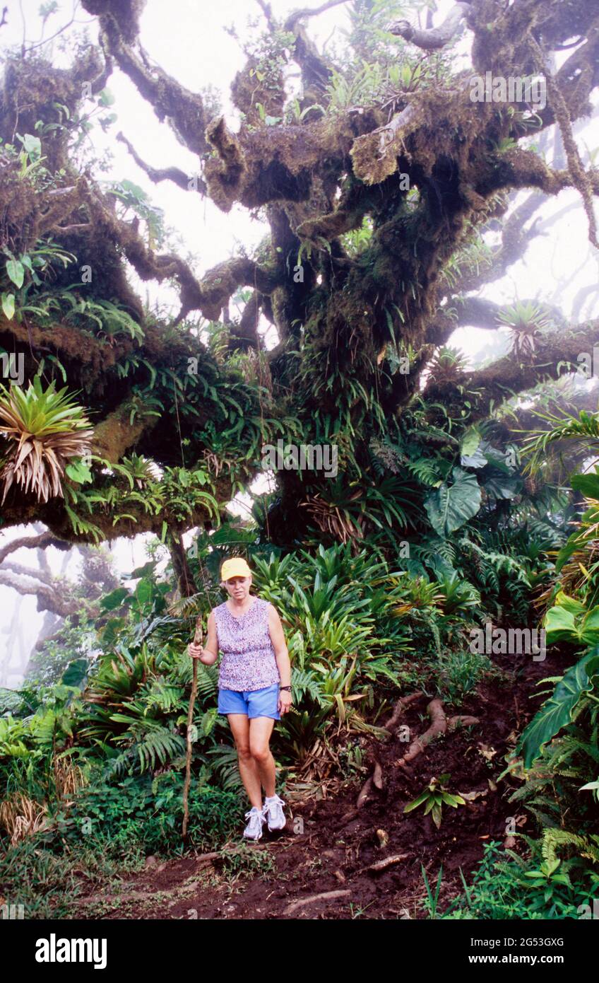 Young woman hiker at Mt. Scenery, highest point in Saba Stock Photo - Alamy