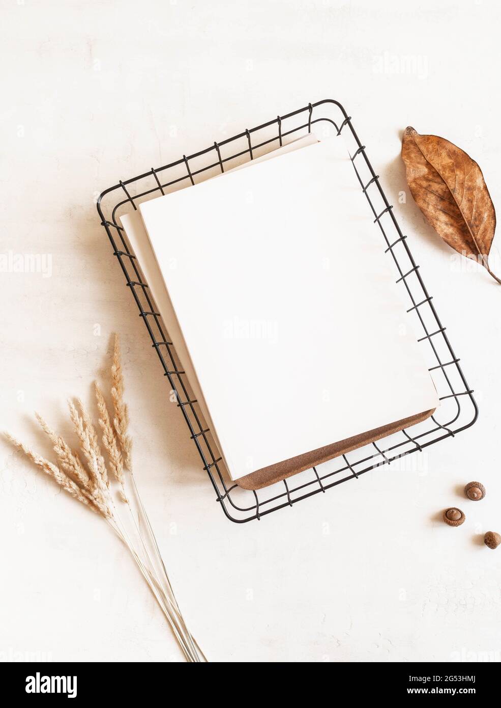 Overhead grass magazine hi-res stock photography and images - Alamy