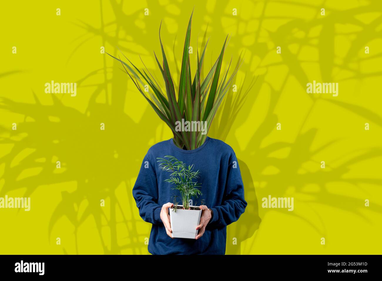 human with the plant instead of the head, creative concept, growth of ...