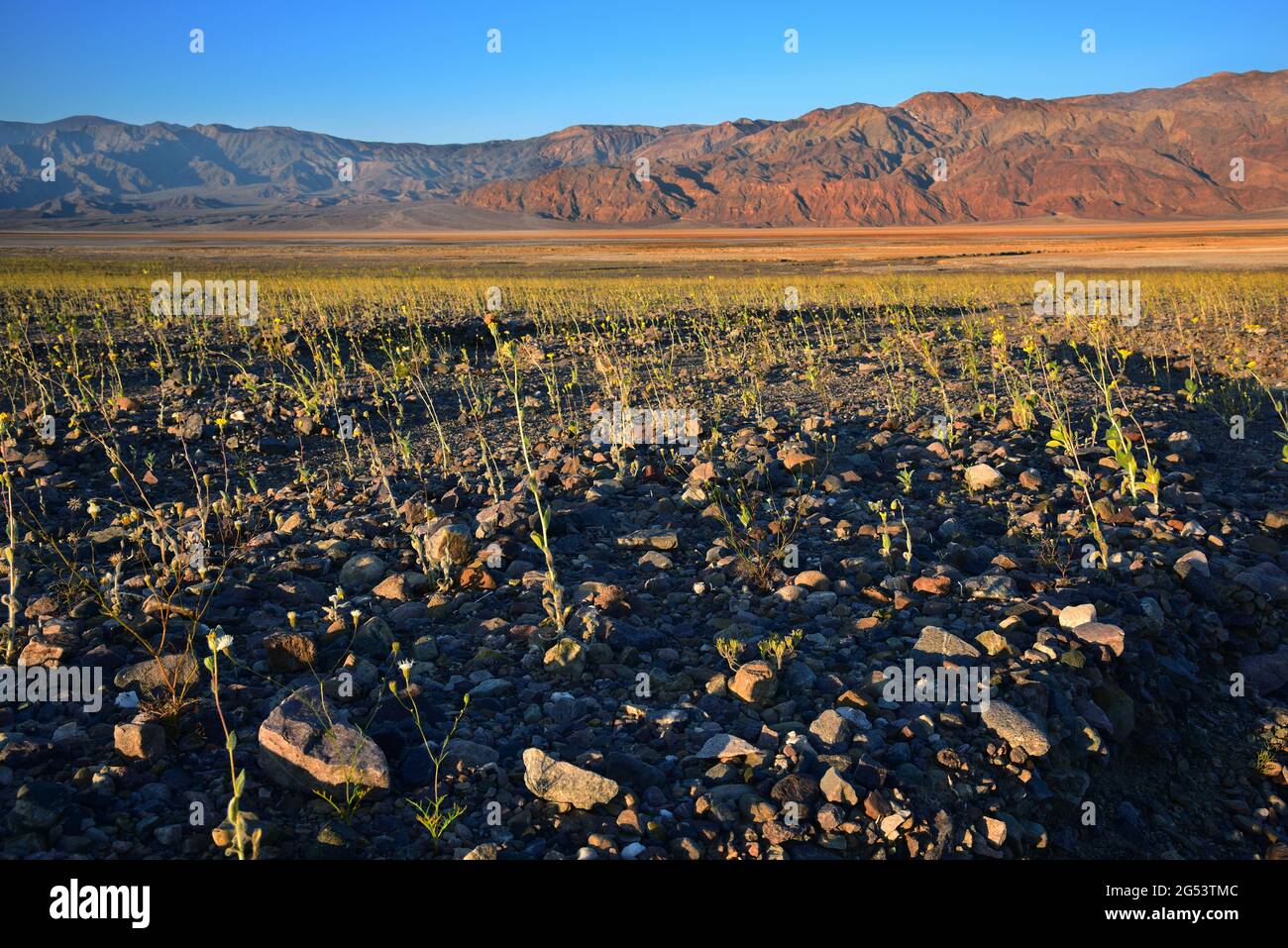 Death Valley landscape Stock Photo - Alamy
