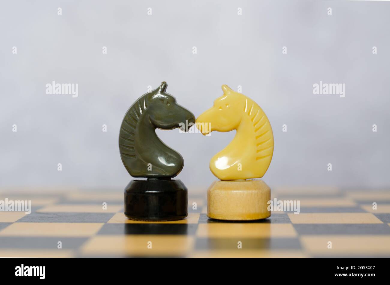 The black and white knights stand on the chessboard facing each other ...