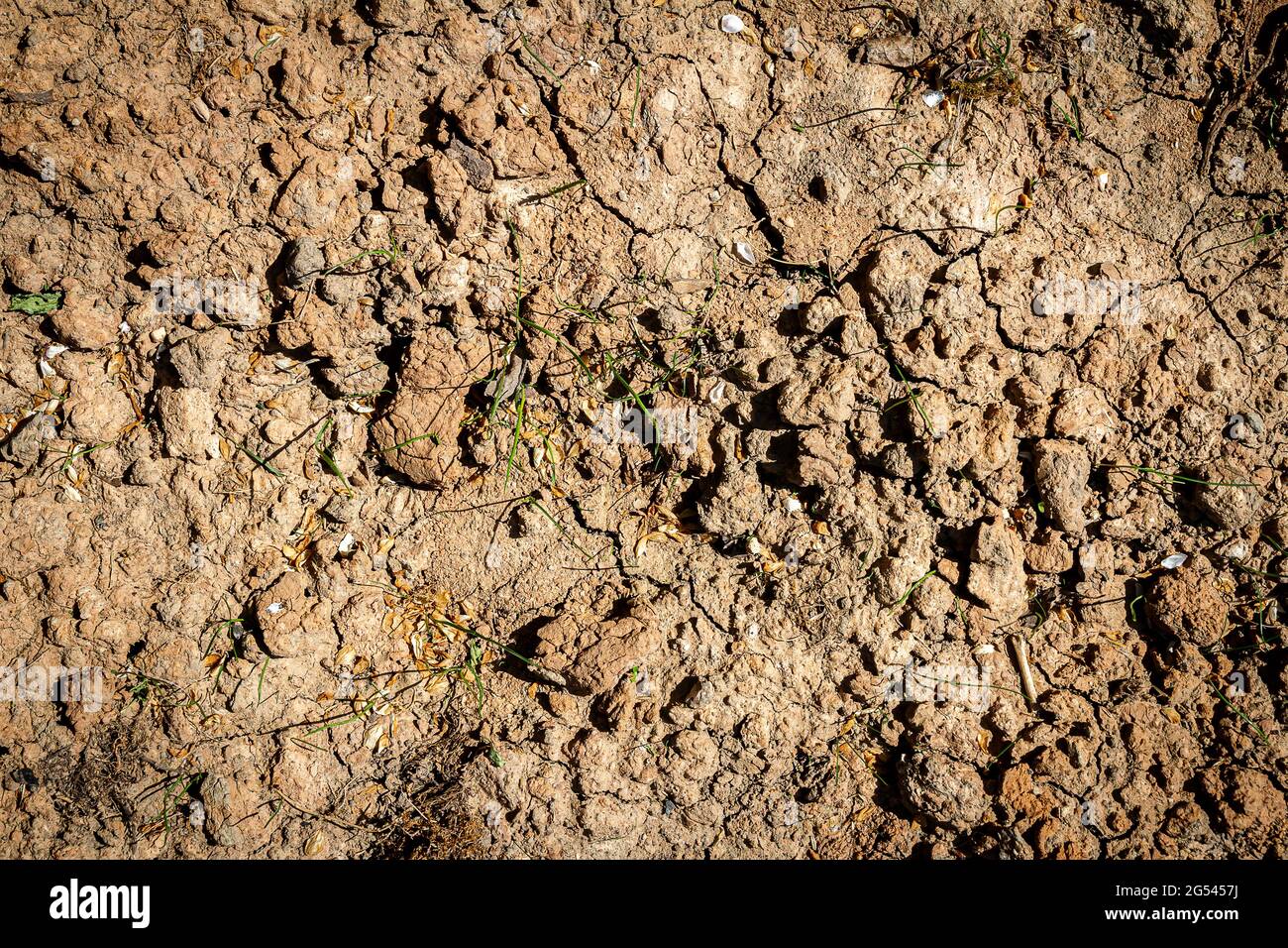Abstract ground texture with clumps. Soil background Stock Photo - Alamy