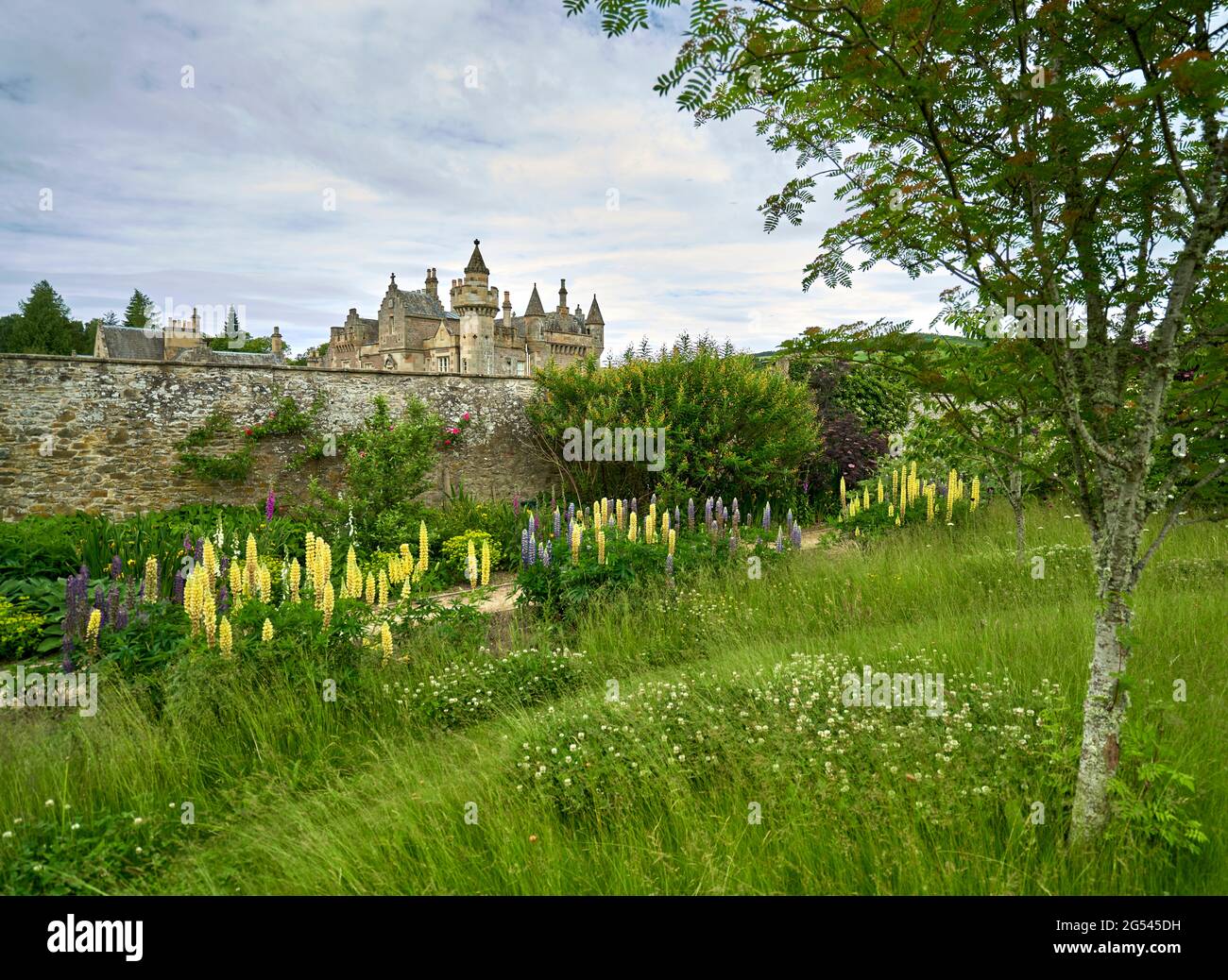 Beautiful flower beds in the walled garden of Abbotsford House in the ...