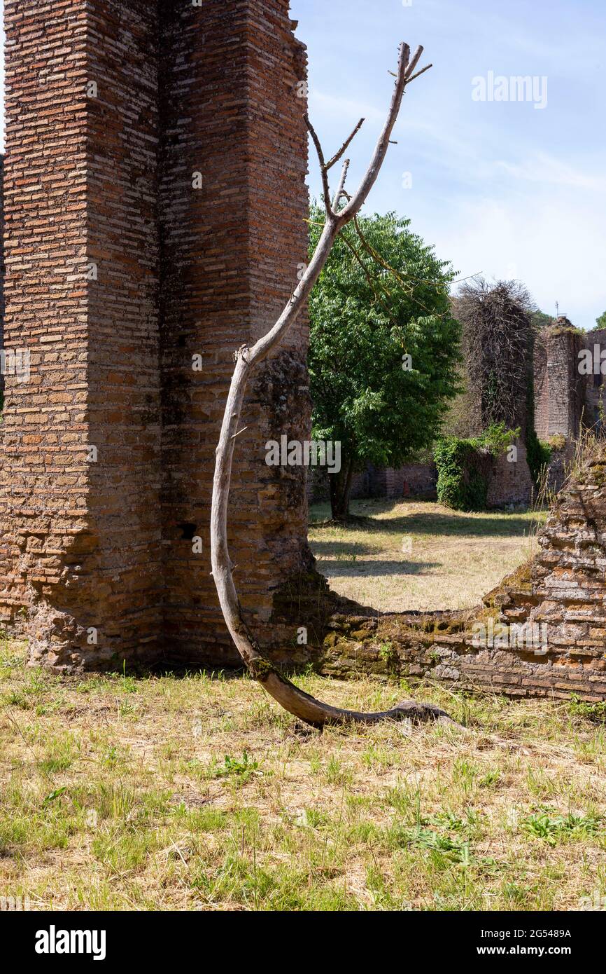 Ruins of the Roman villa of Maxentius on the Appian Way Stock Photo - Alamy
