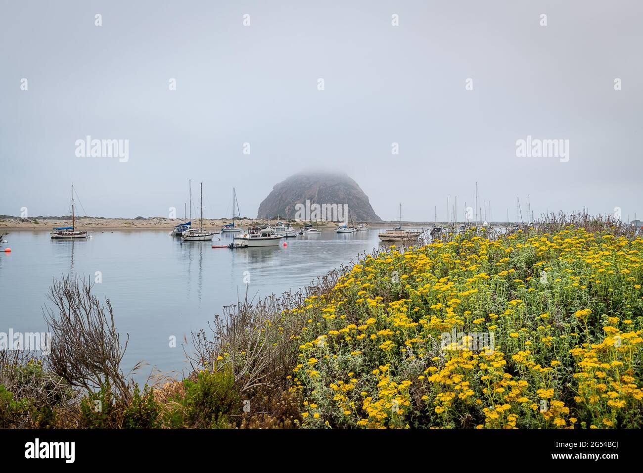 Morro Bay State Park Stock Photo - Alamy
