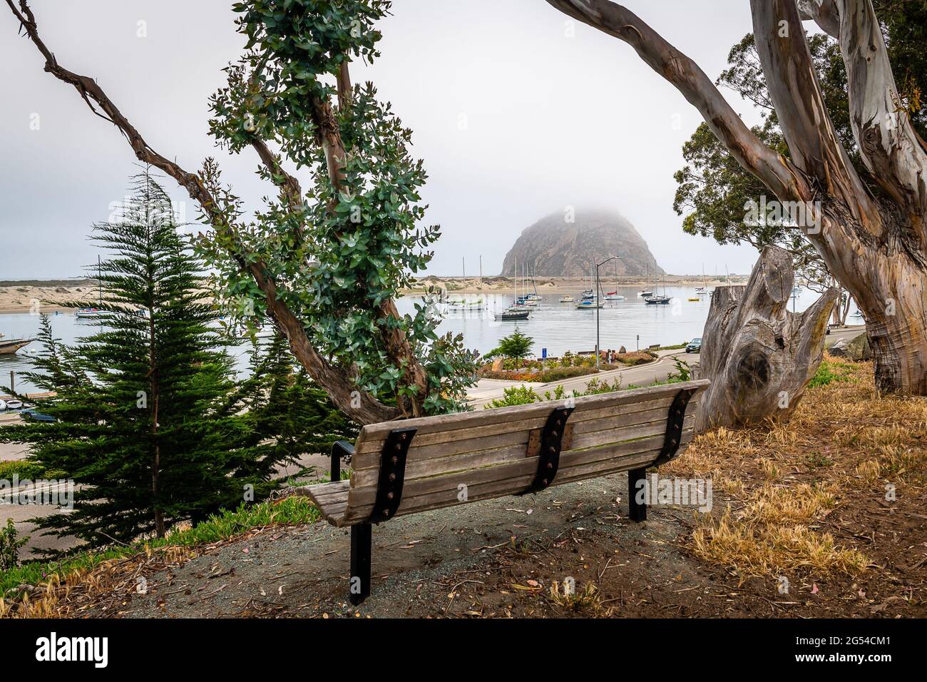 Morro Bay State Park Stock Photo - Alamy