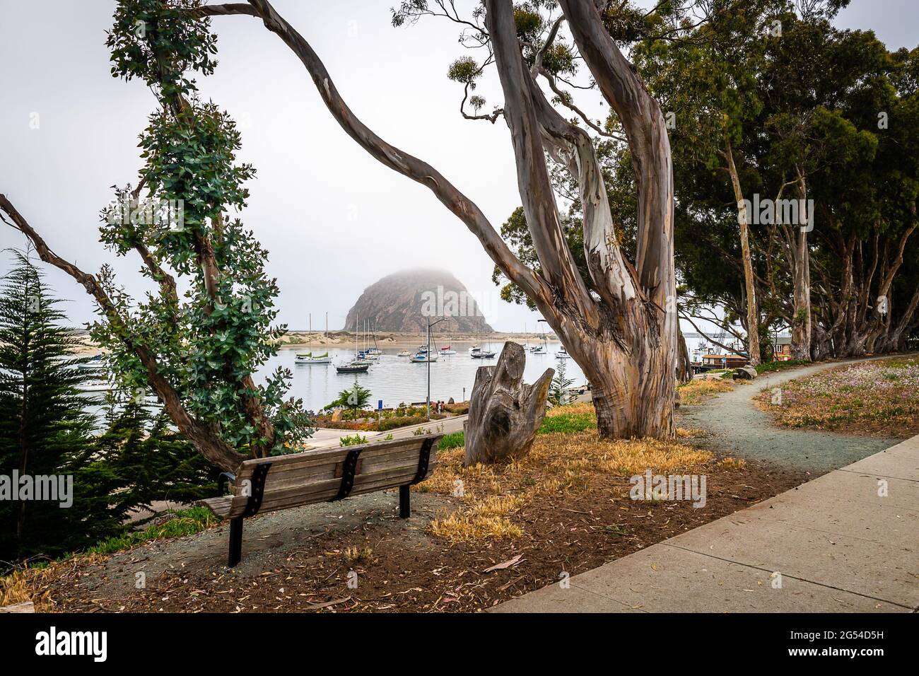 Morro Bay State Park Stock Photo - Alamy