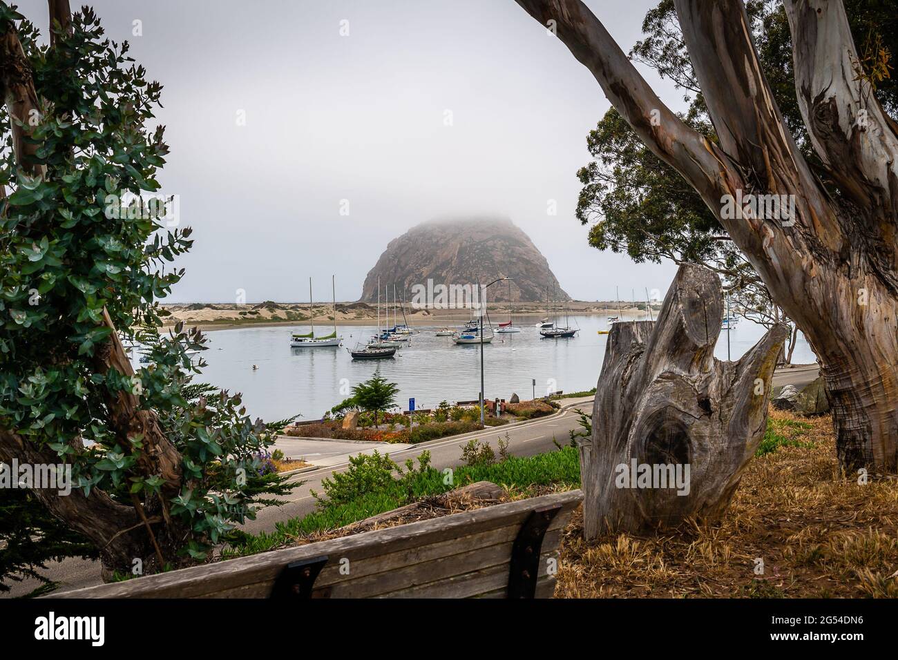 Morro Bay State Park Stock Photo - Alamy