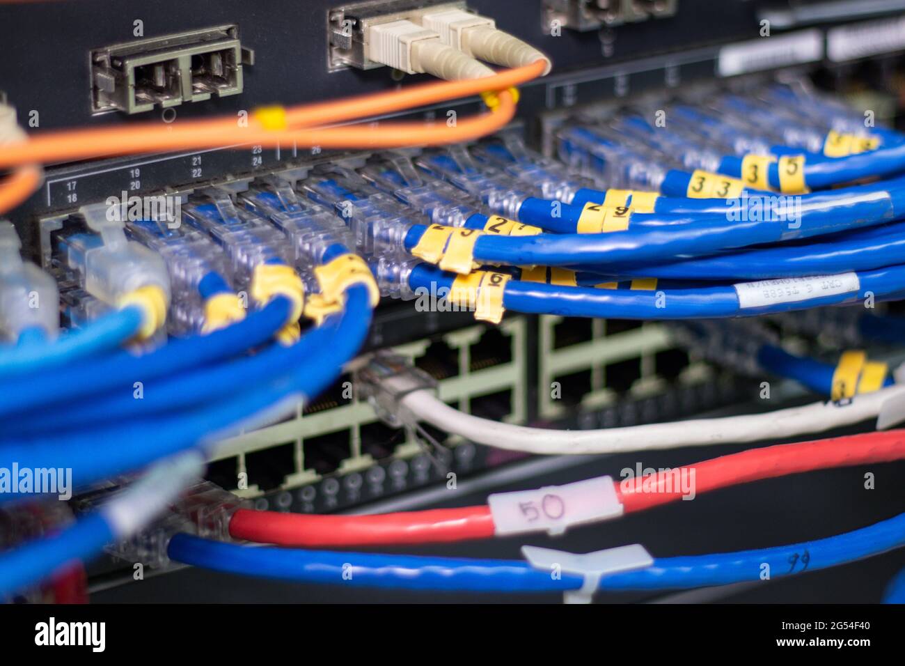 The network cables to connect the port of a switch to connect internet ...