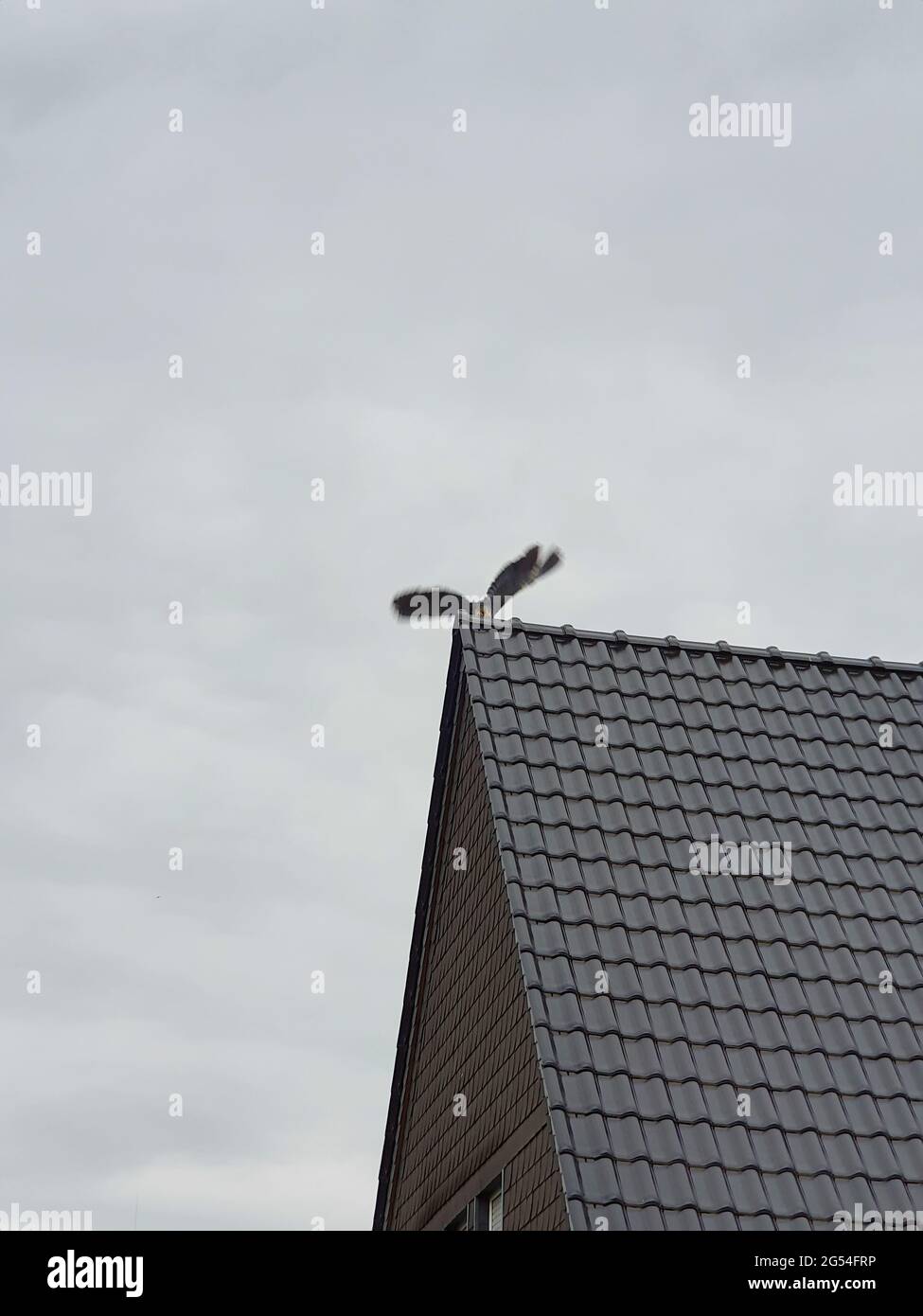 Flying roof hi-res stock photography and images - Alamy