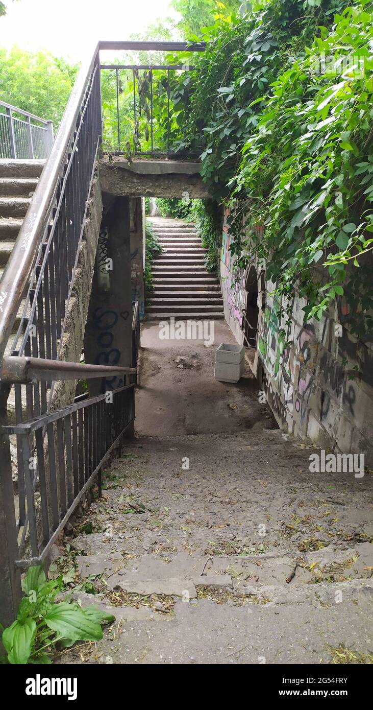an old concrete staircase overgrown with grass Stock Photo - Alamy