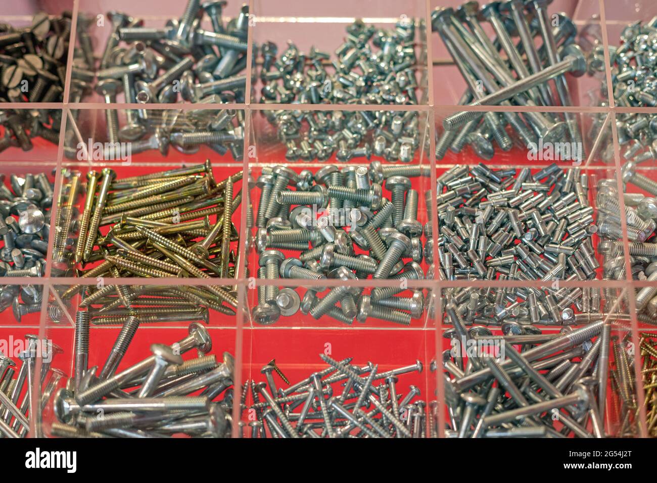 Various Size and Shape of Screws and Bolts Selection in Plastic Tray ...