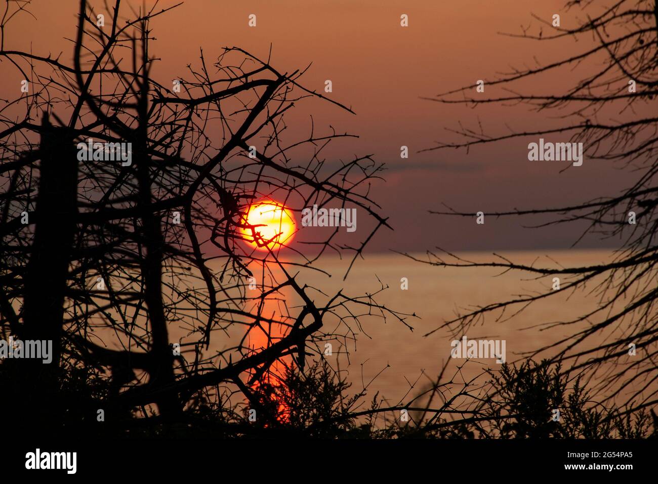 Sunset reflection over water seen through tree branches Stock Photo - Alamy