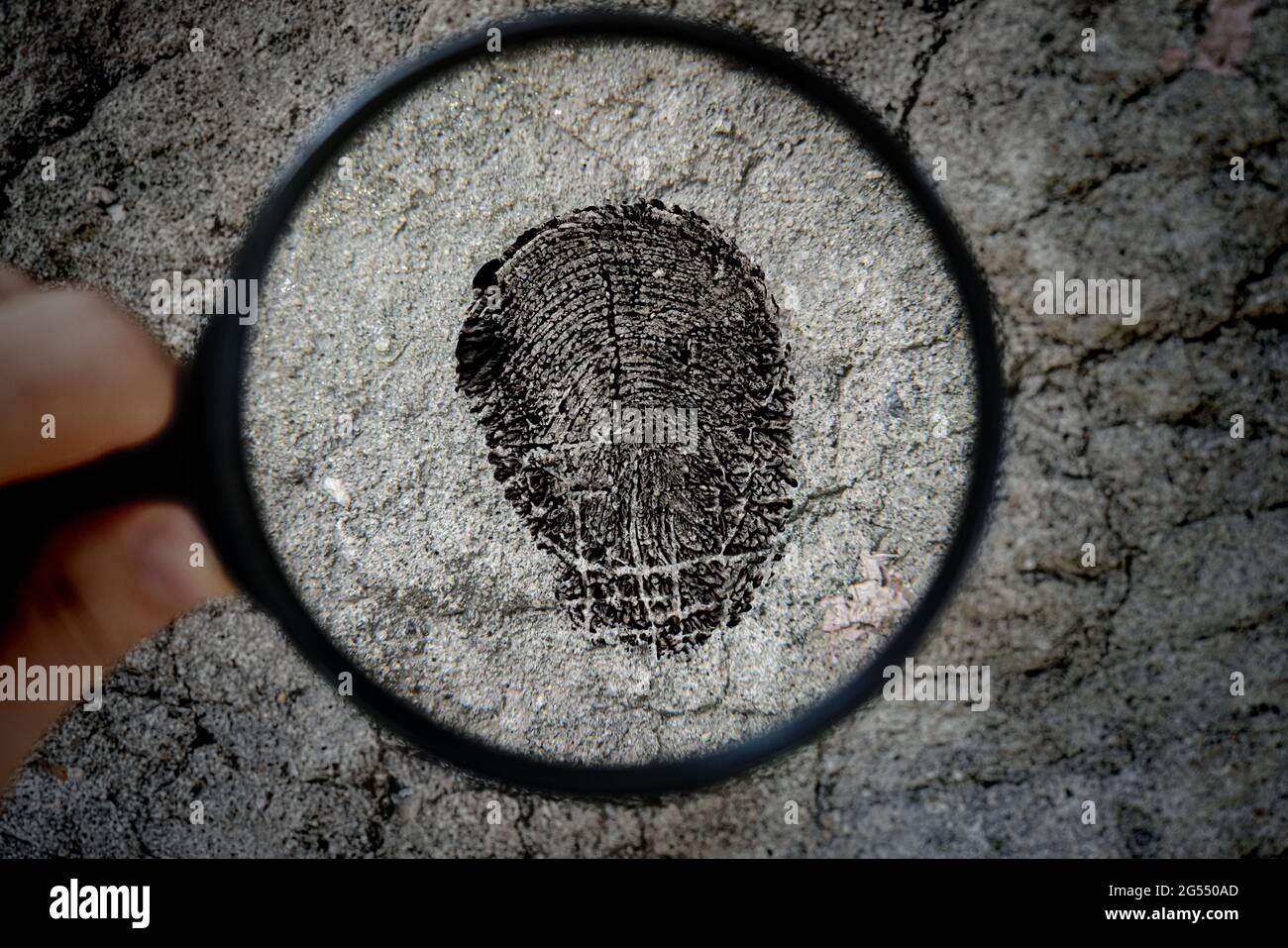 a crime investigation, a magnifying glass and the fingerprint on the ...