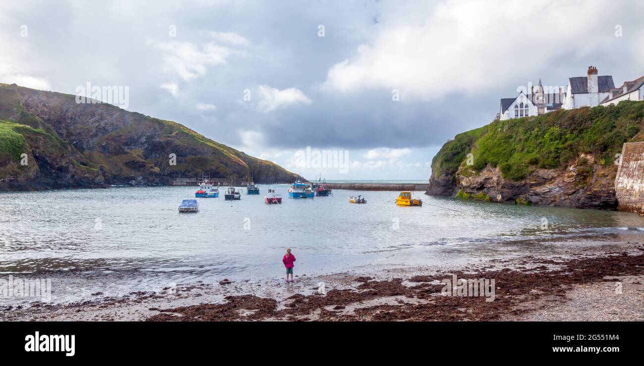 The traditional fishing village of Port Isaac on the north coast of ...