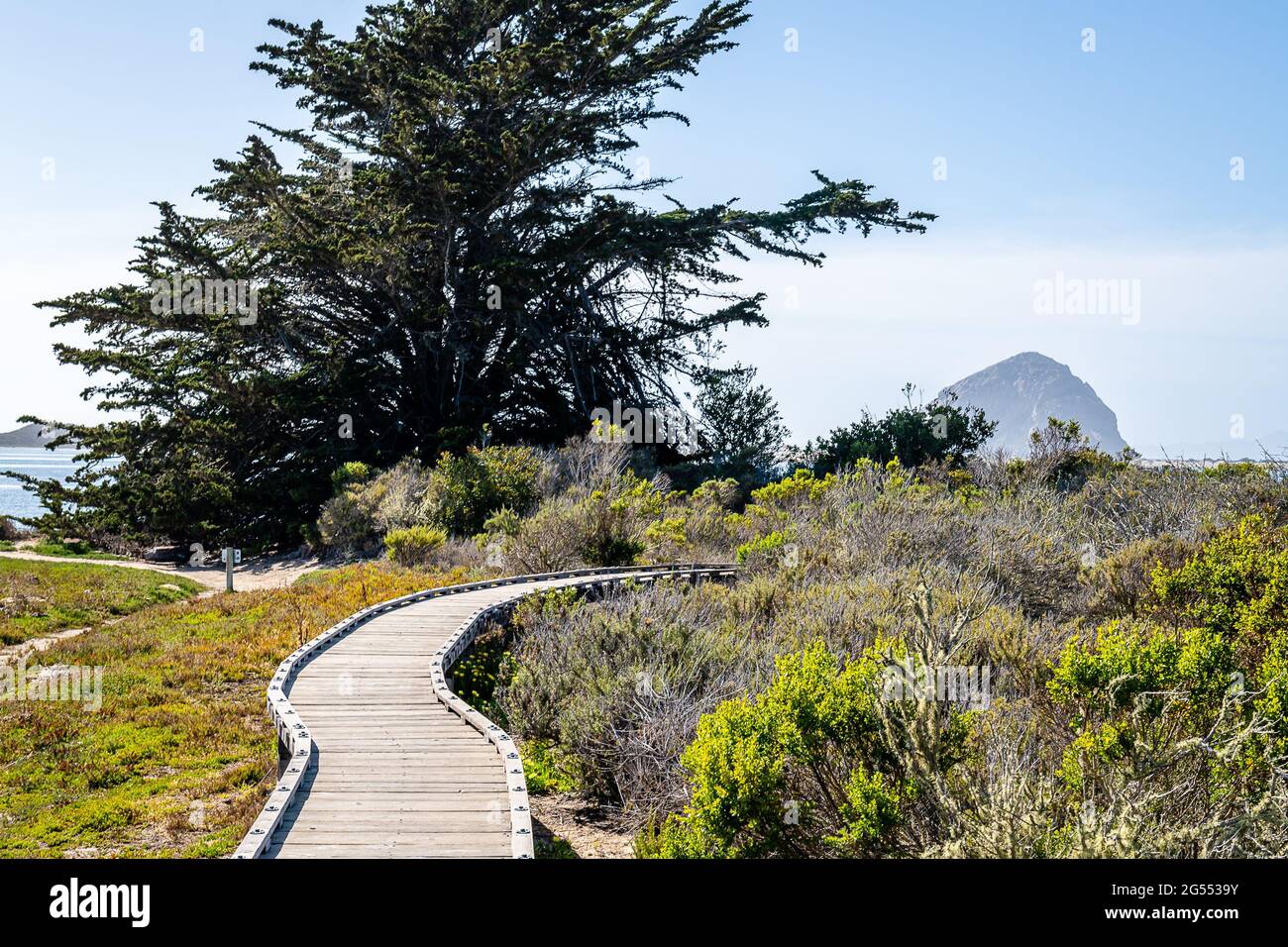 Morro Bay, California Stock Photo - Alamy