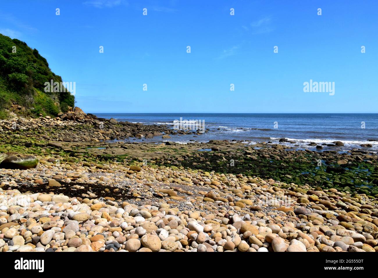 Wyke hi-res stock photography and images - Alamy