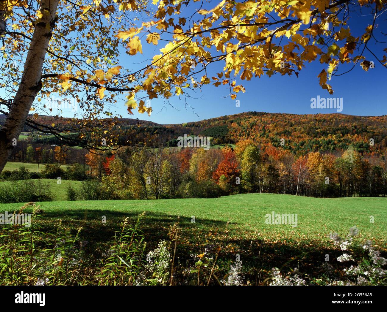 Open field near East Barnett Vermont in early autumn Stock Photo - Alamy