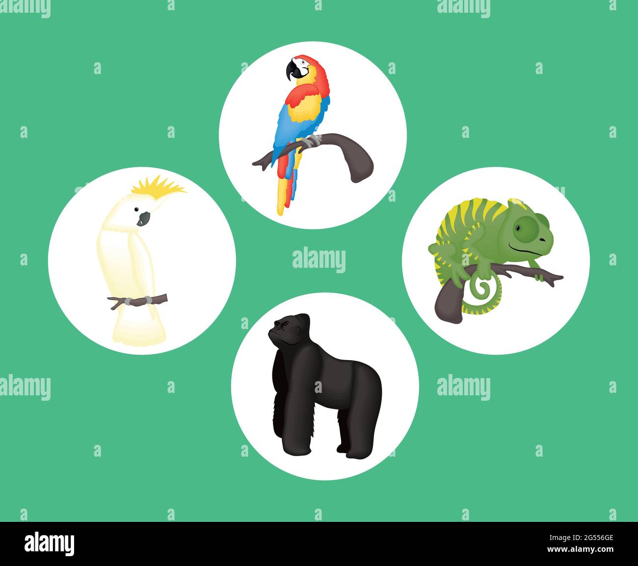Cute animals cartoons symbol set on circles Stock Vector Image & Art ...
