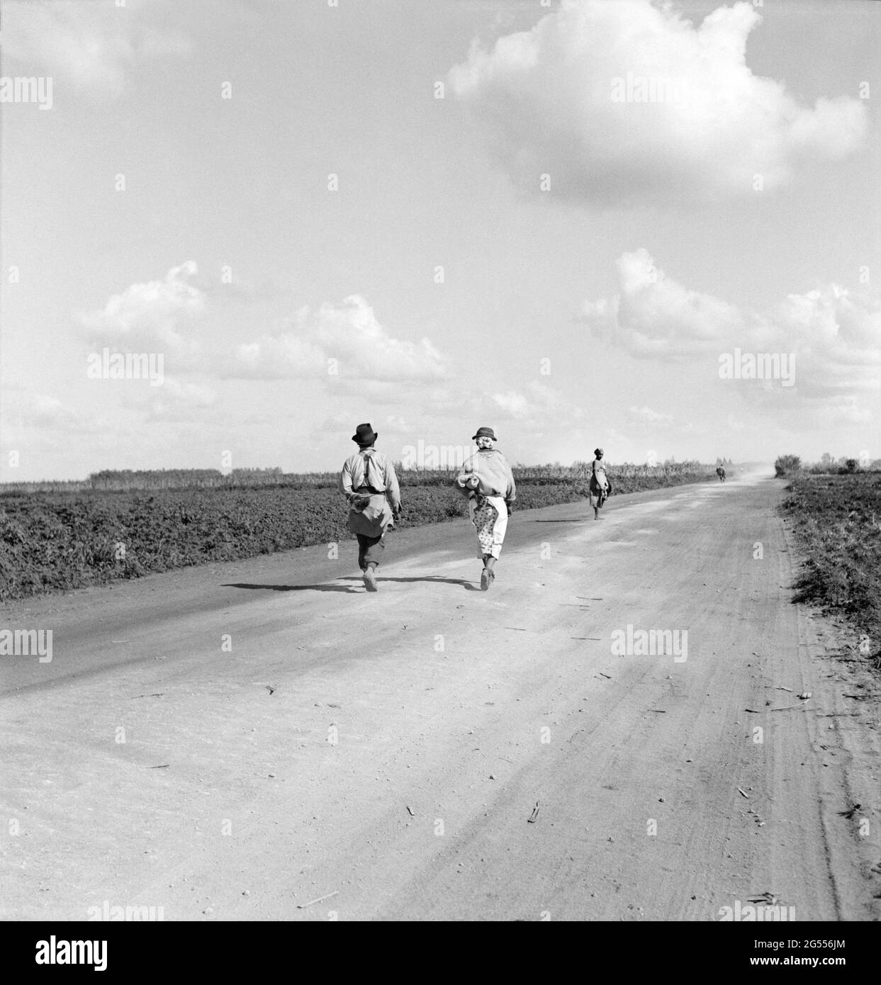 African american women agriculture hi-res stock photography and images ...