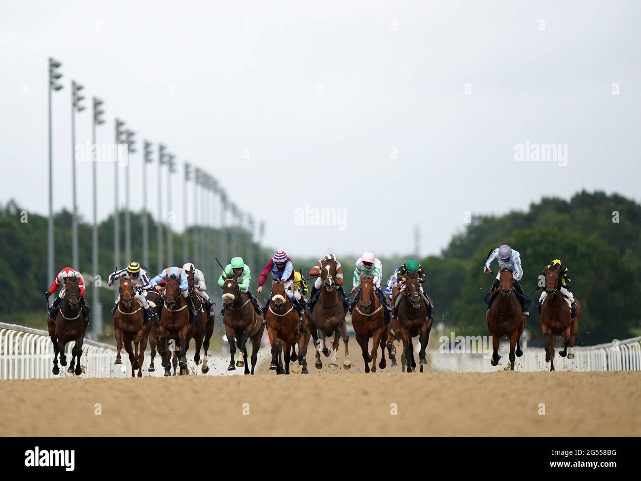Runners and riders in the William Hill Gosforth Park Cup Handicap at ...