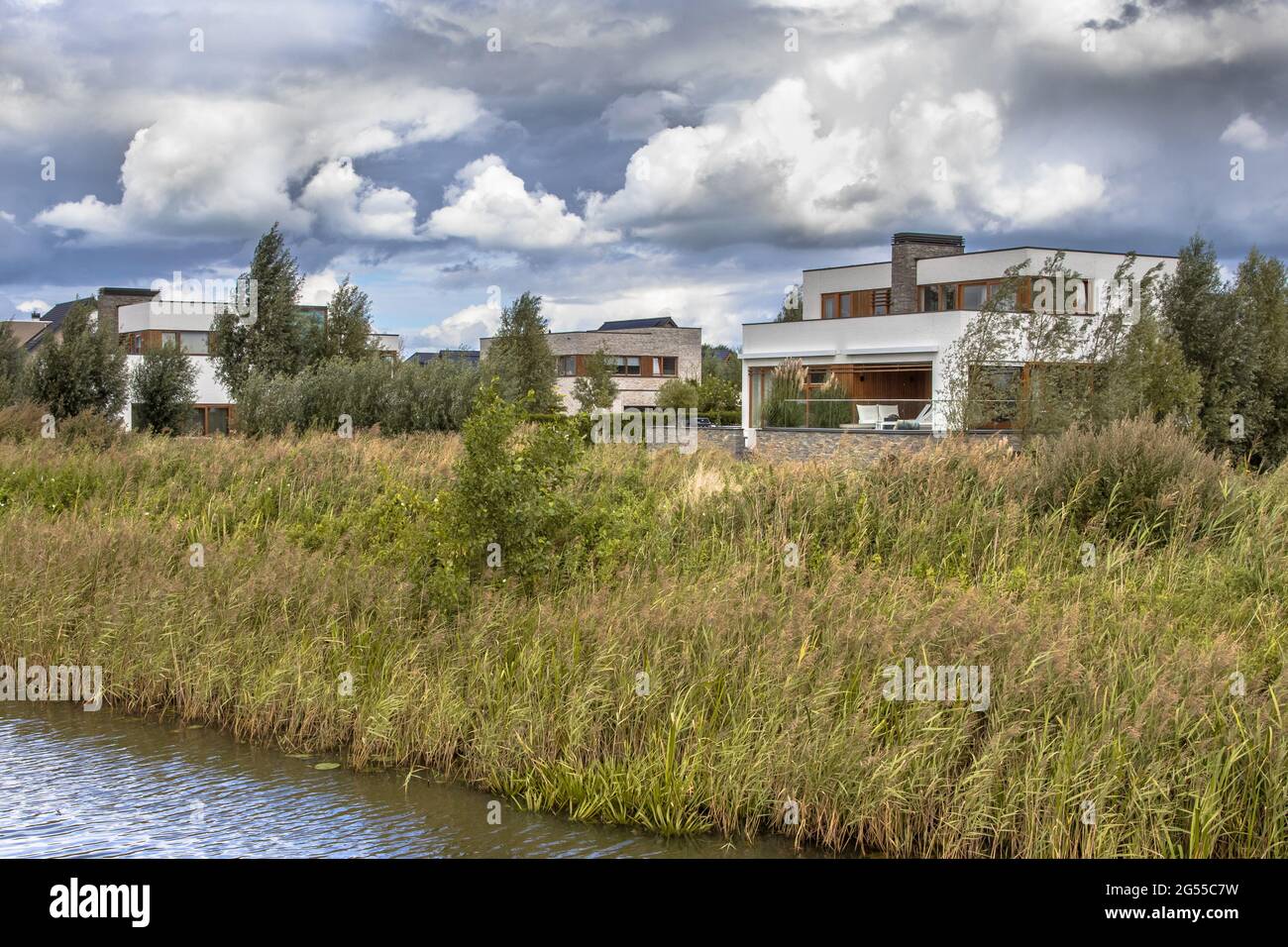 Neighborhood with ecological houses in natural setting in wild nature ...