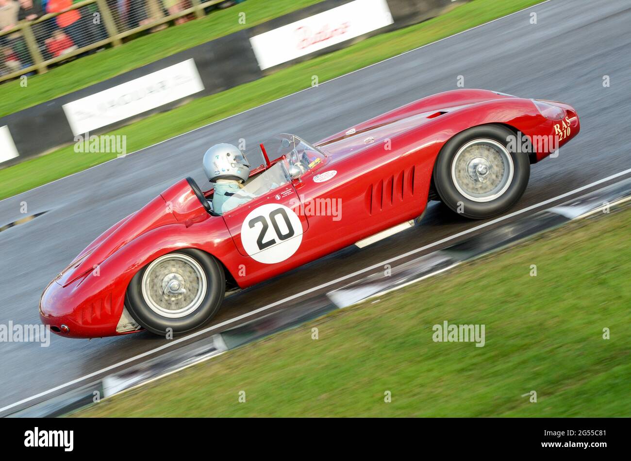 Maserati 300S racing at the Goodwood Revival 2011, UK, raced by Stephan ...