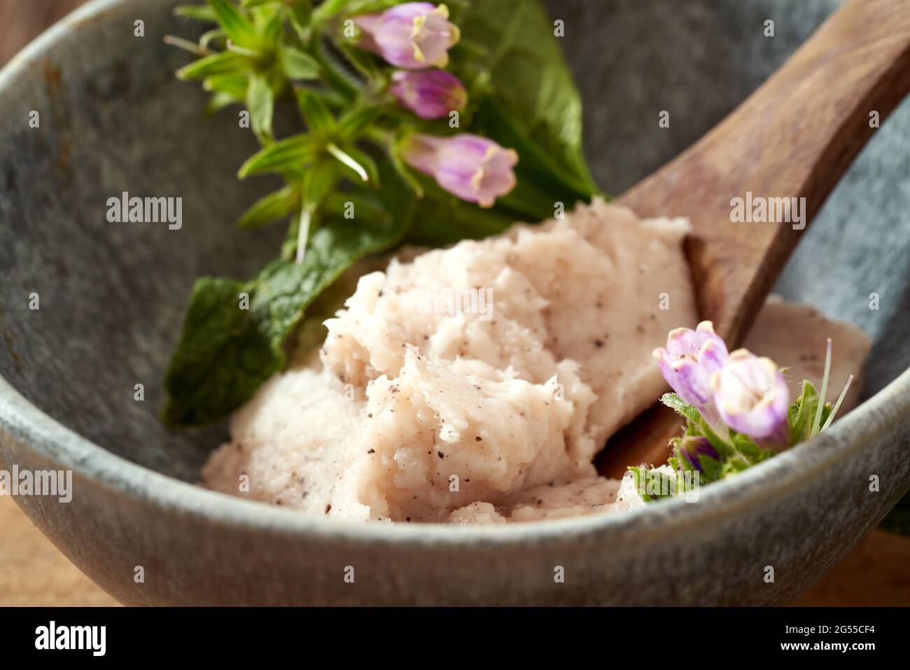 Comfrey root ointment for bones with fresh blooming symphytum ...