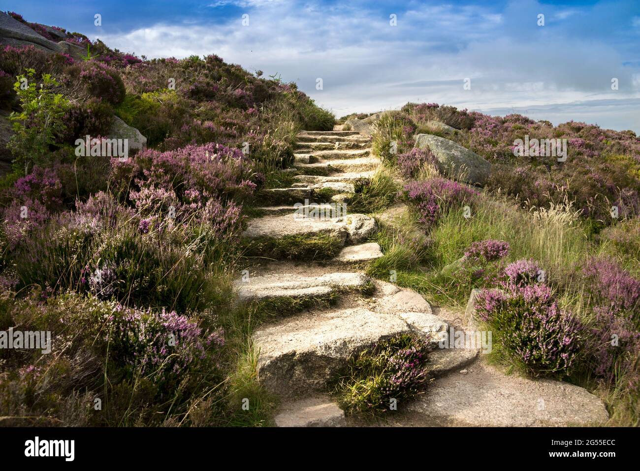 Route to Mither Tap of Bennachie in Aberdeenshire, Scotland, UK Stock ...