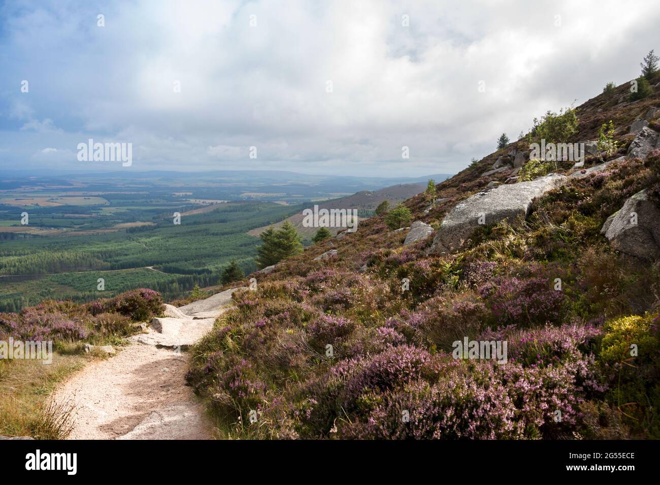A route to Mither Tap of Bennachie. Aberdeenshire, Scotland, UK Stock ...