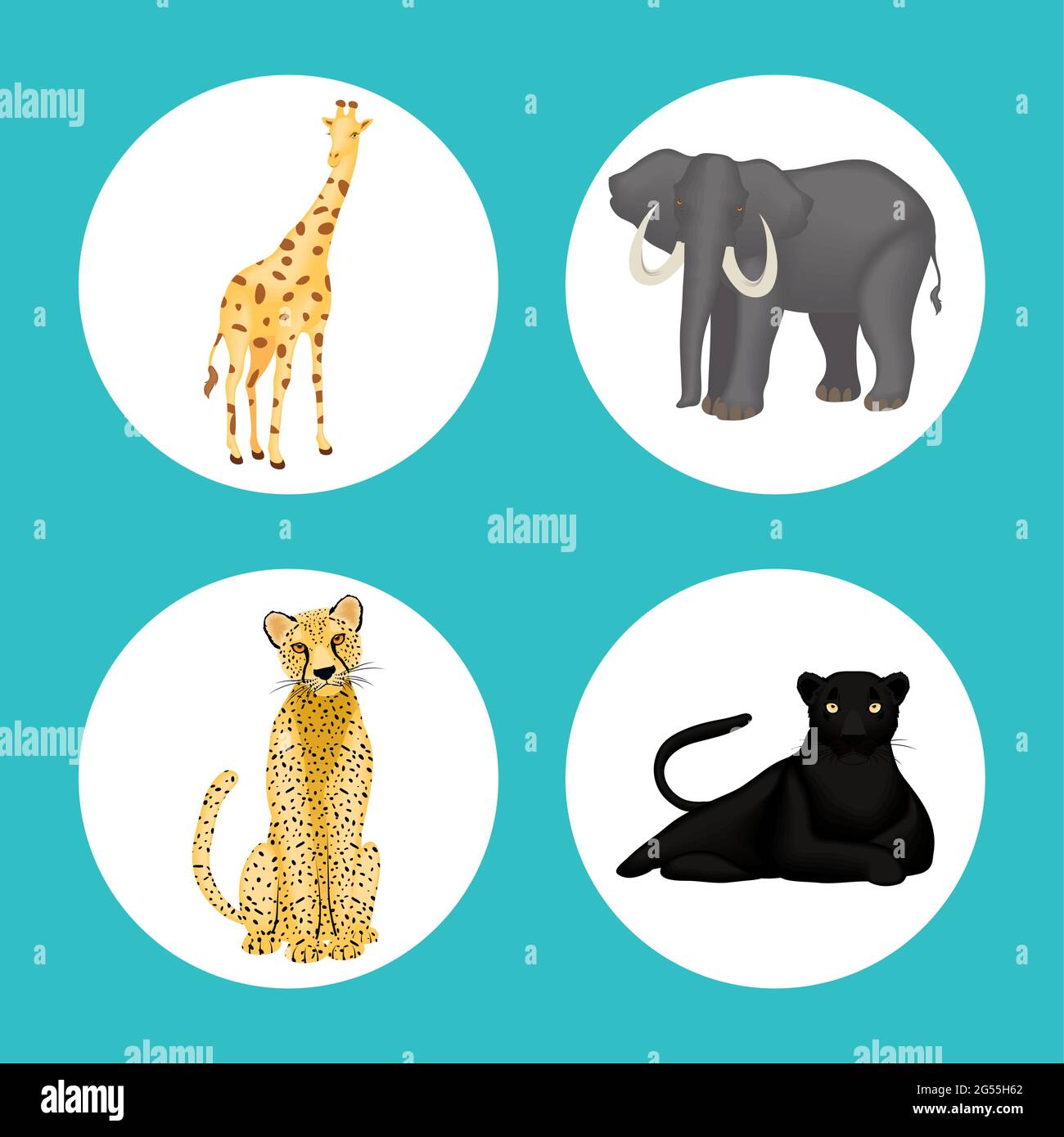 Cute animals cartoons icon set on circles Stock Vector Image & Art - Alamy