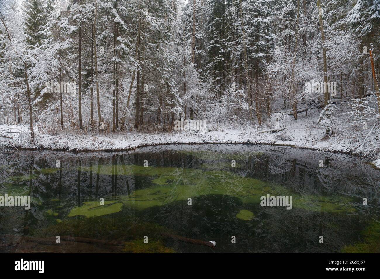 Saula blue springs (siniallikad in Estonian) at snow winter Stock Photo ...