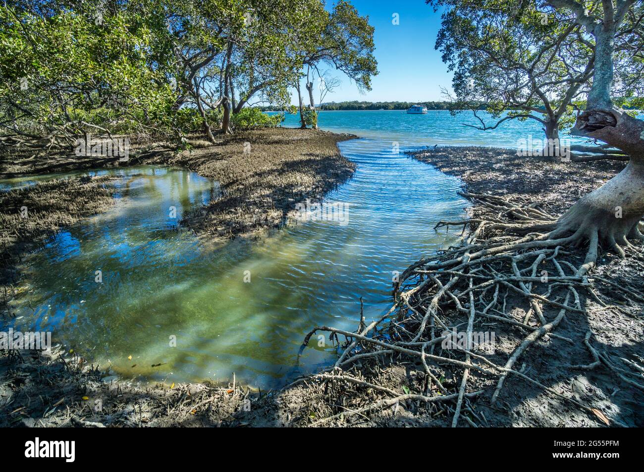 Caboolture hi-res stock photography and images - Alamy