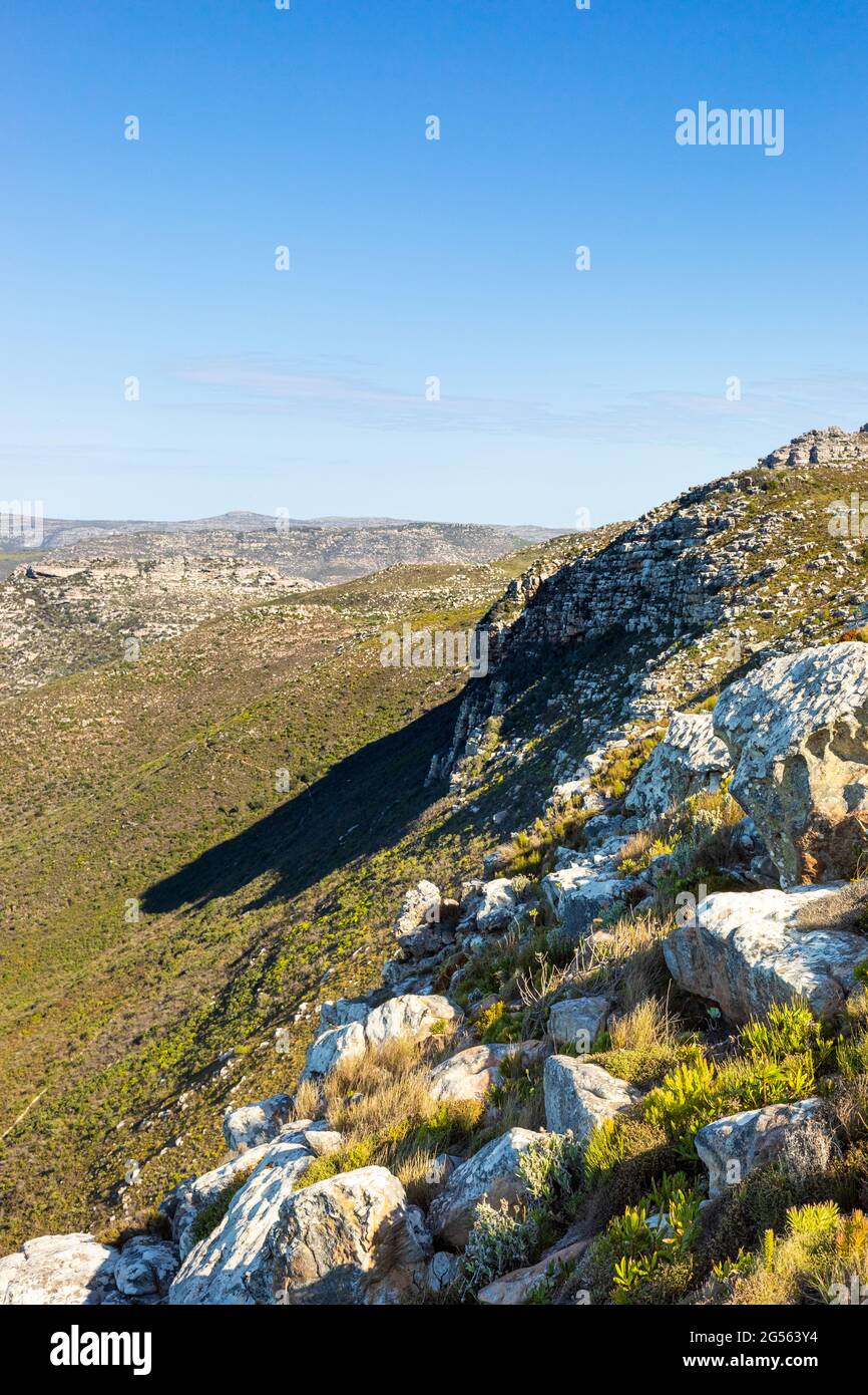 Rugged mountain landscape with fynbos scrub bush flora in Cape Town ...