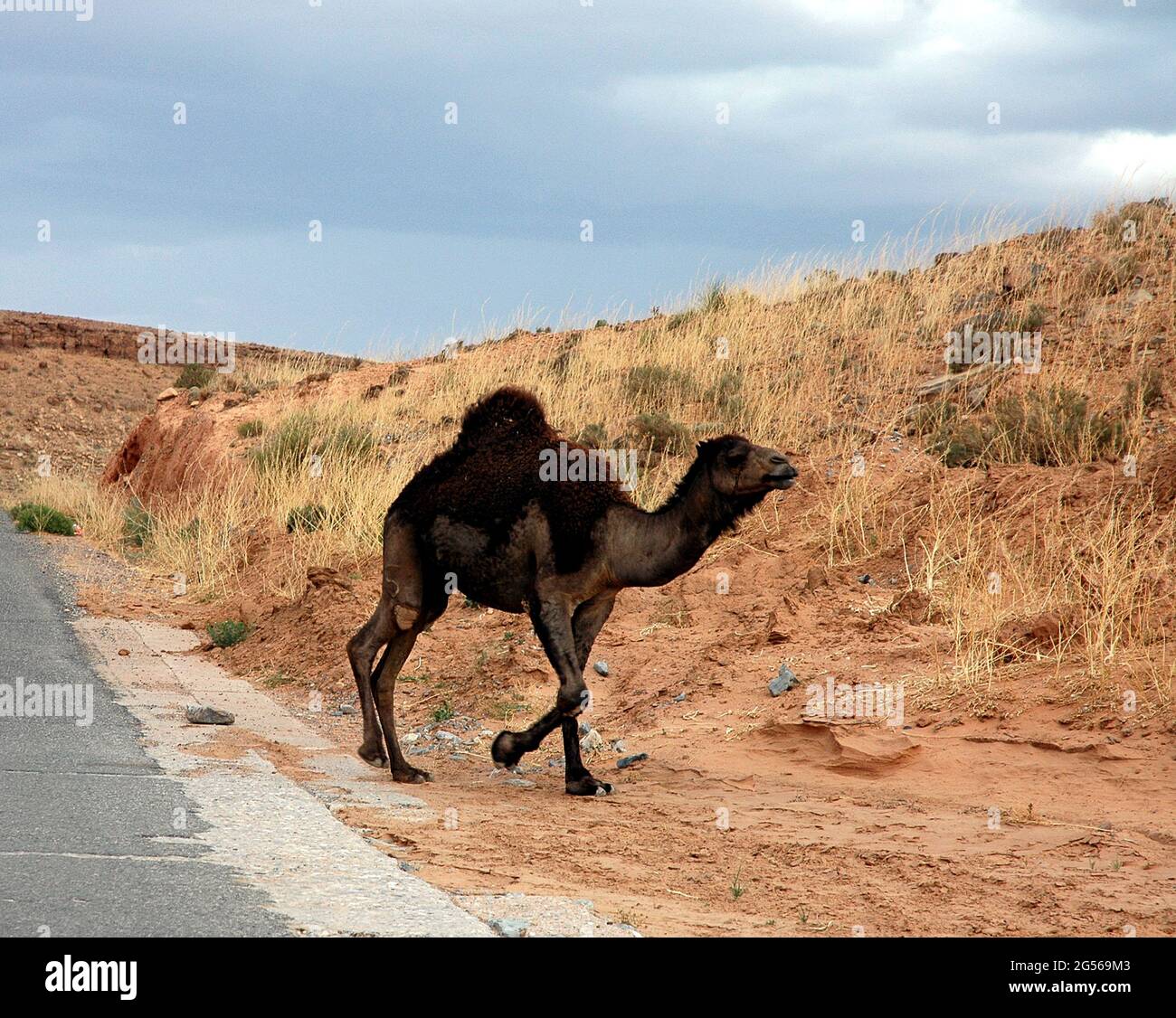 Landscape of South East Morocco Stock Photo - Alamy