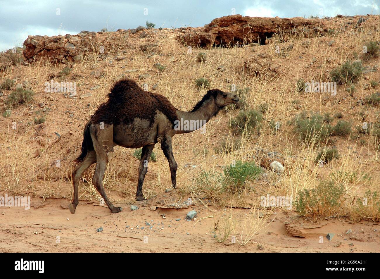 Landscape of South East Morocco Stock Photo - Alamy