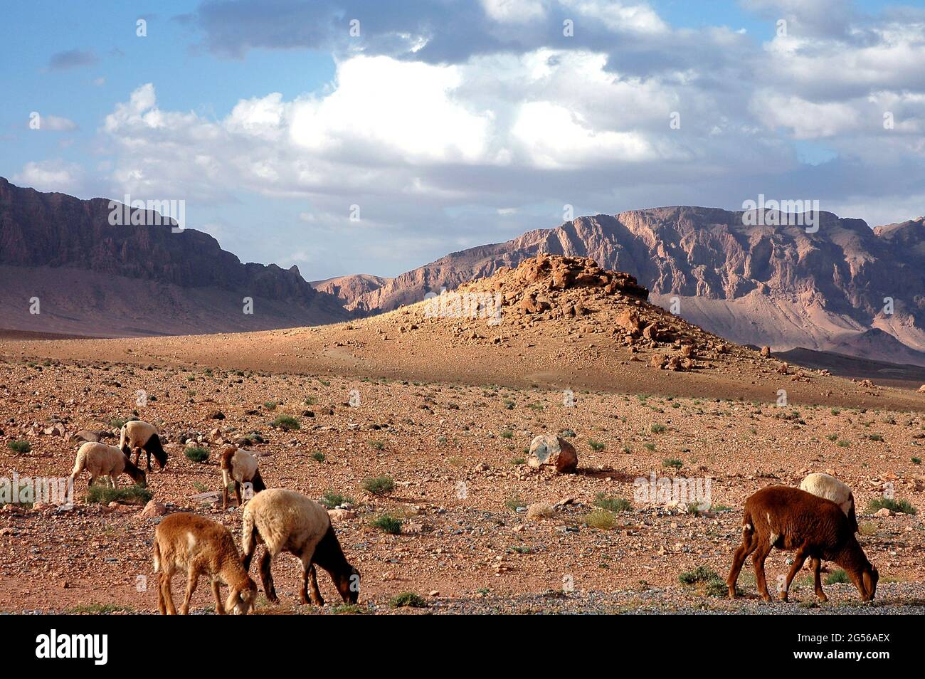 Landscape of South East Morocco Stock Photo - Alamy