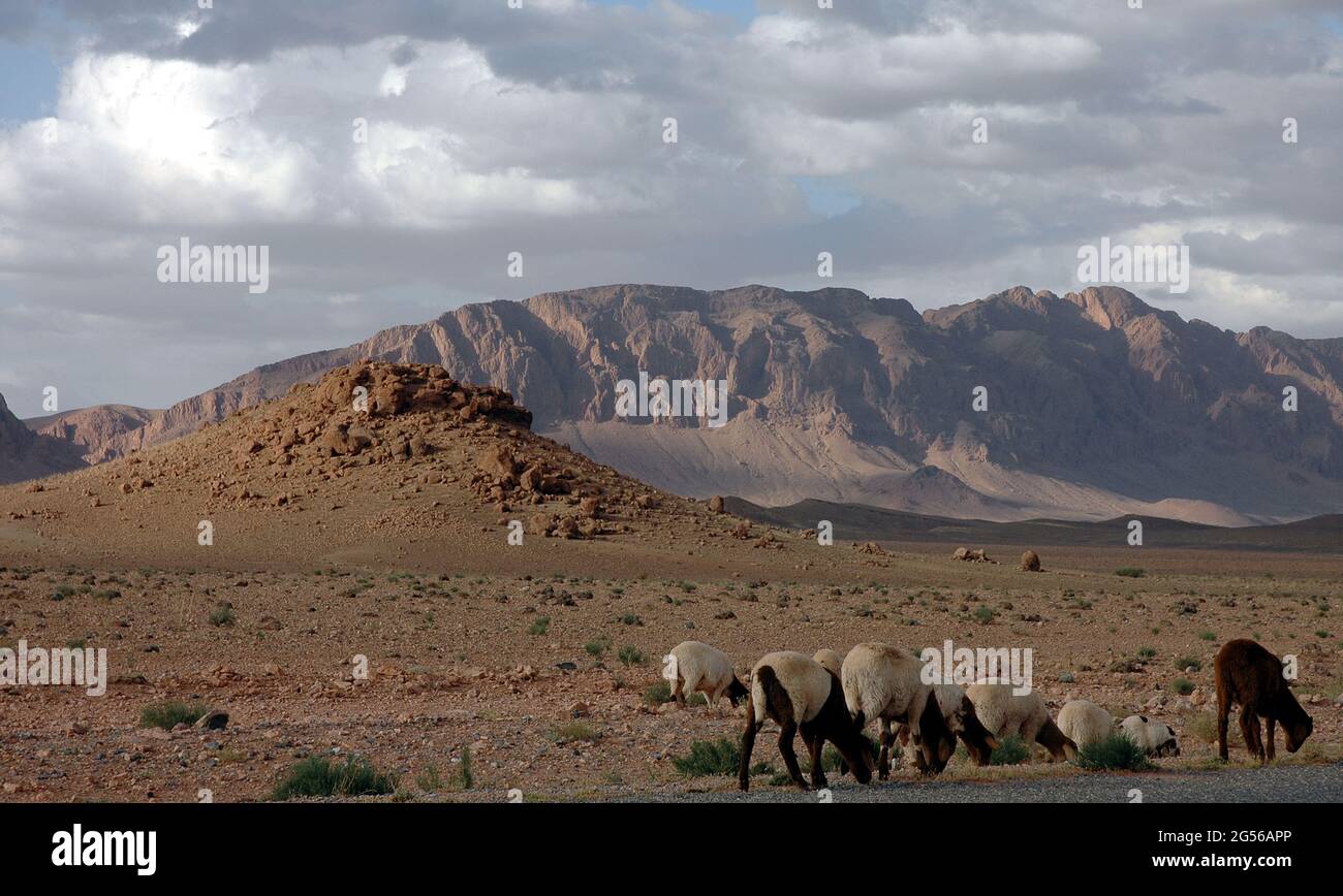 Landscape of South East Morocco Stock Photo - Alamy
