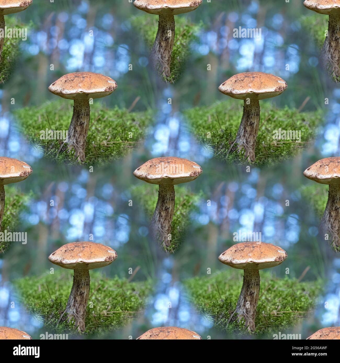 Seamless background with repeating mushrooms in the forest Stock Photo ...