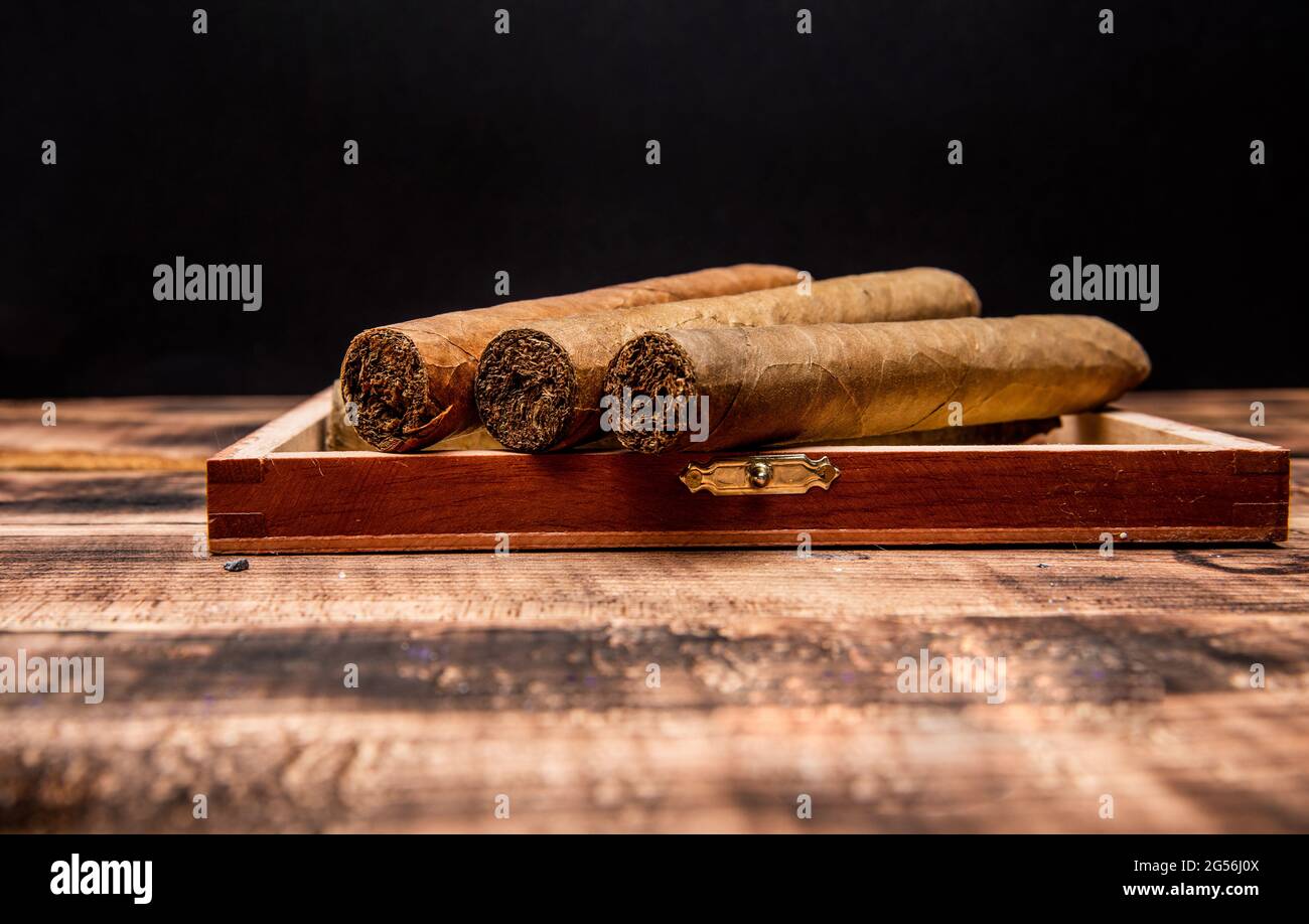 Cuban cigars. Cigar smoking. Cigar tobacco. Cigars in vintage box Stock ...
