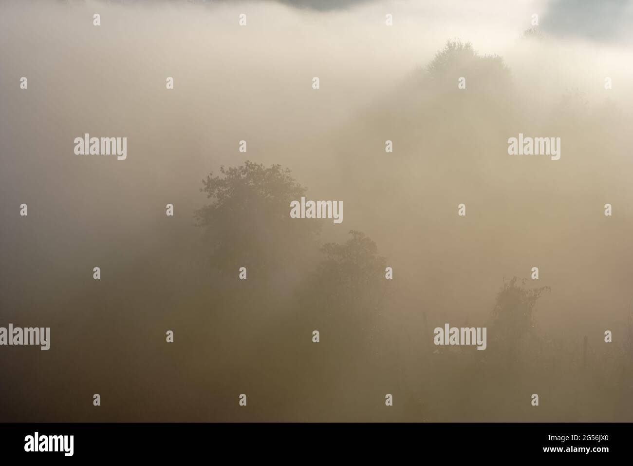 Mountain at dawn with clouds, fog, light rays and trees. Peneda Geres ...